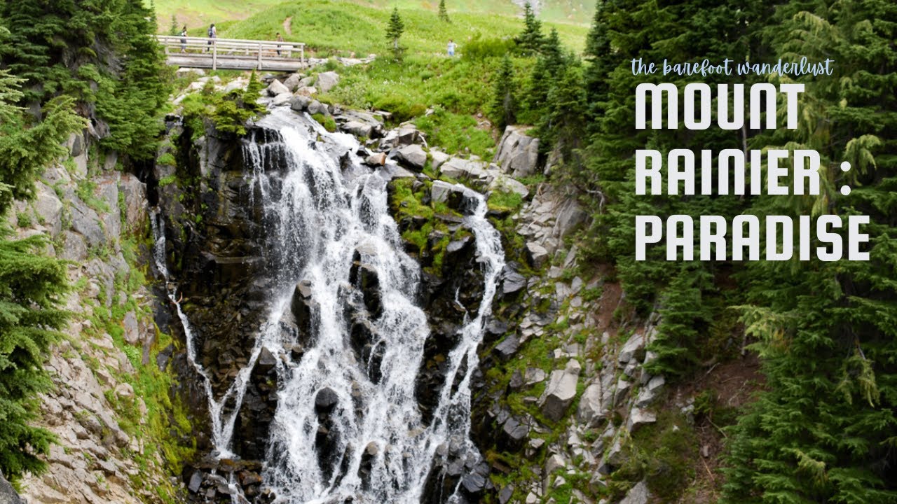 Mount Rainier National Park, Paradise | Washington | Pacific North West