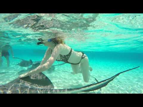Carnival Cruise Line - Excursions in Jamaica & Grand Cayman