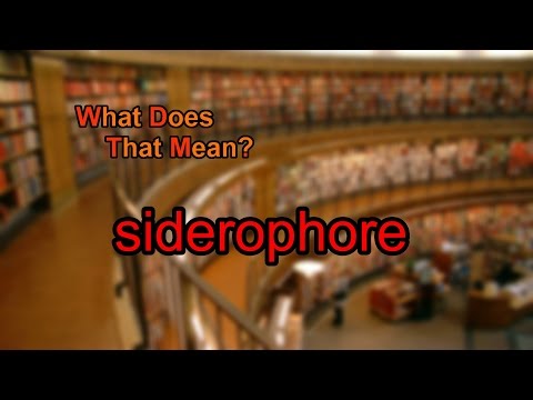 What does siderophore mean?