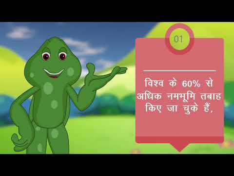 Wetland Video Hindi