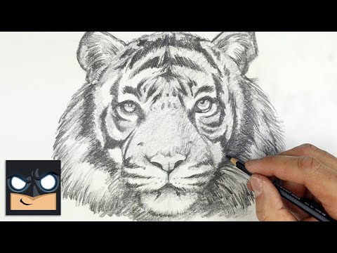 How To Draw Tiger | YouTube Studio Sketch Tutorial