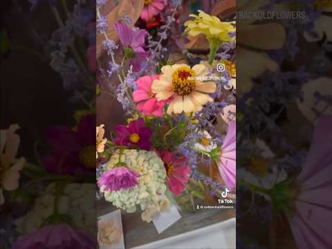 Flowers for a local pop up shop Wild Desert Trading Co. #outback #cutflowers #locallygrown #jars