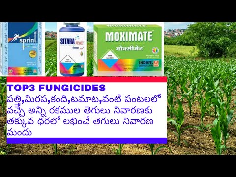 Indofil Fungicides - Latest Price, Dealers & Retailers in India