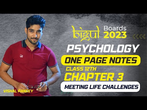 Class 12th Psychology Chapter 3 - Meeting Life Challenges (One page Notes)