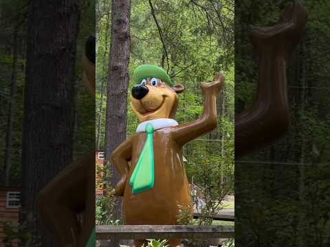 YOGI BEAR NOSTALGIA #countryboyvlogs #yogibear #cartoon #nostalgia #smokeymountains