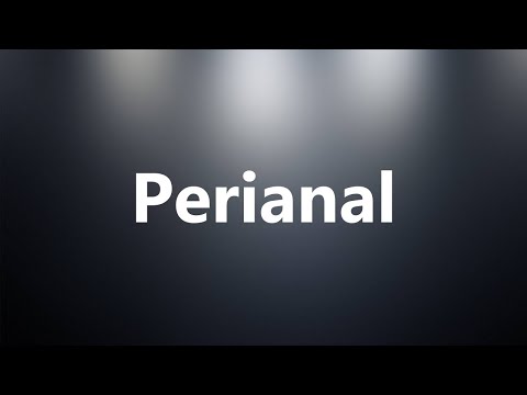 Perianal - Medical Definition and Pronunciation