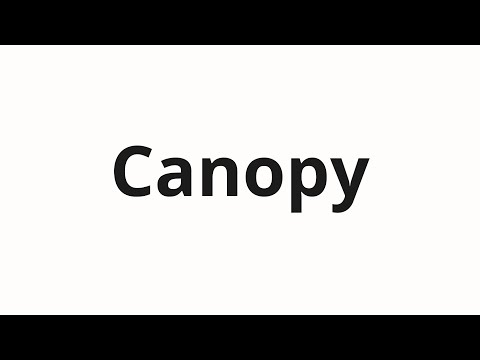 How to pronounce Canopy