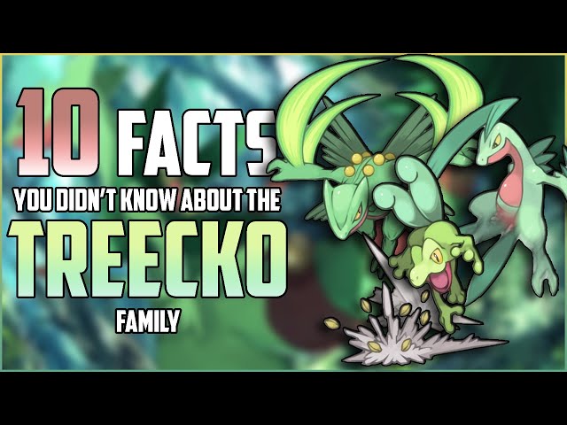 Treecko Pokémon: How to Catch, Moves, Pokedex & More