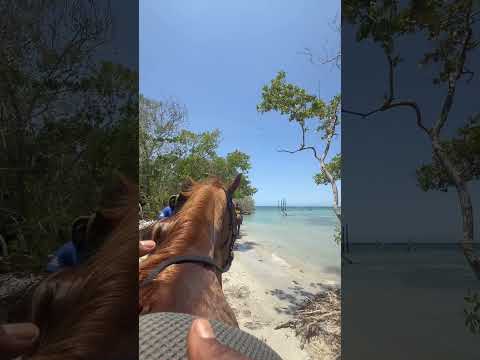 Horseback riding in Montego Bay 🇯🇲 #travel #trending #trendingshorts