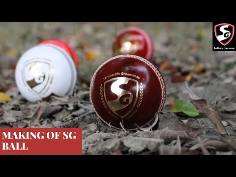 SG Cricket Ball - Latest Price, Dealers & Retailers in India