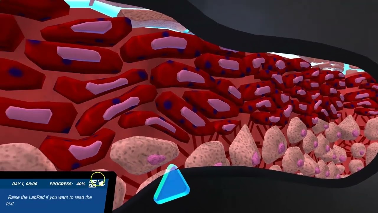 Skin Layers and Organ Anatomy: Follow a skin cell’s journey! | Virtual Lab