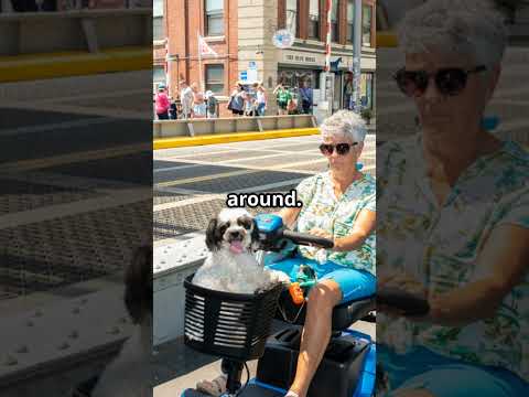 ADA Rules on Mobility Scooters & Sidewalks