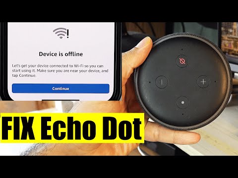 How to FIX Echo dot that has STOPPED Responding