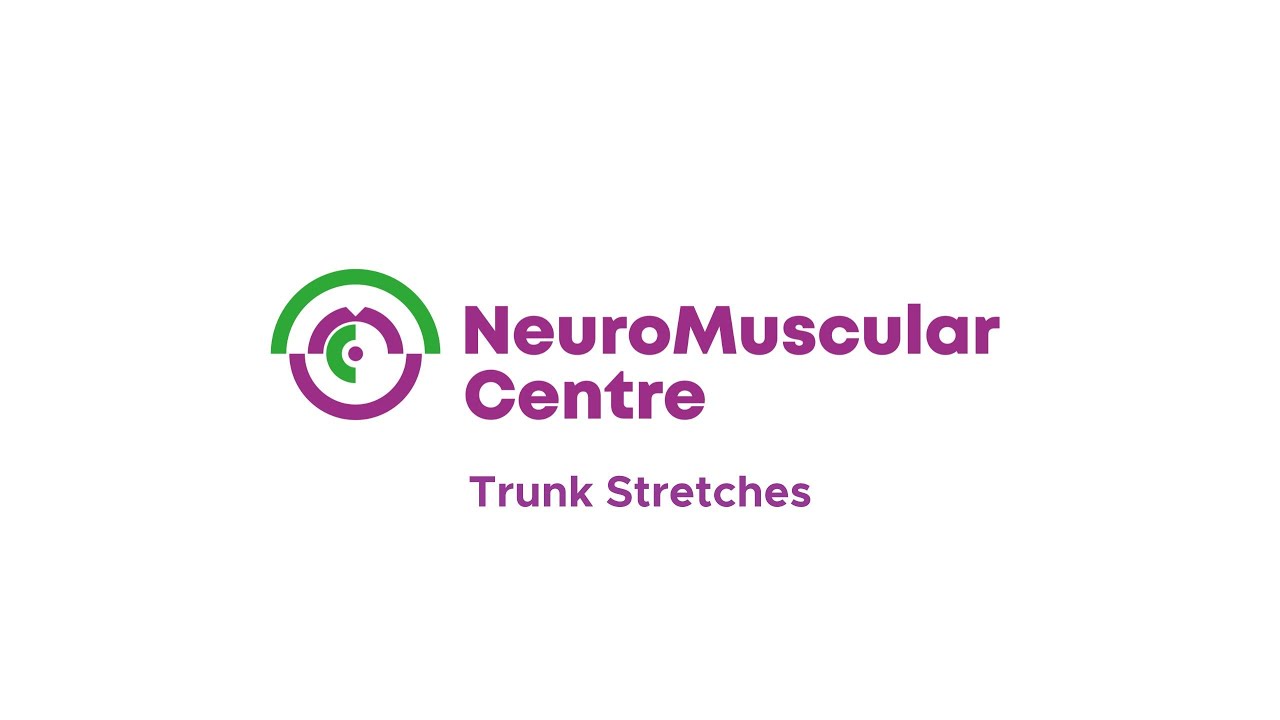 Trunk Stretches
