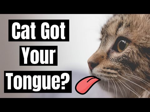 3 Dark Theories Behind the Idiom "CAT GOT YOUR TONGUE" | Meaning and Origin