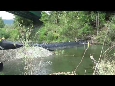 Zoe Penrod biography: 10 things about Myers Flat, California woman ...