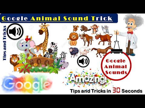 Animal Sounds | Amazing Google Trick