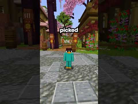 BEST Java/Bedrock Minecraft Server 🔎#minecraft #minecraftserver