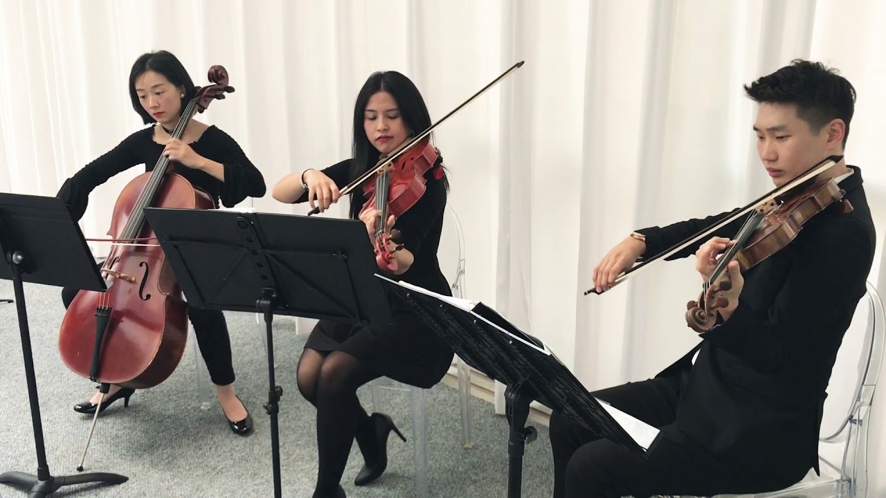 Hire Dallas Asian Strings - String Quartet in McKinney, TX | GigSalad