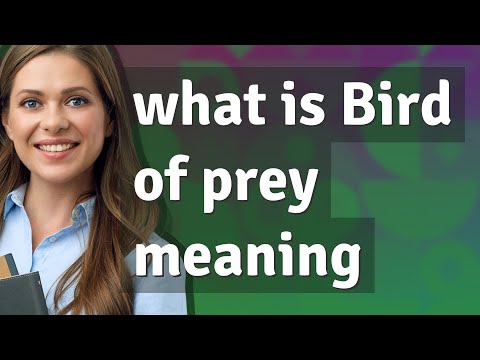 Bird of prey | meaning of Bird of prey