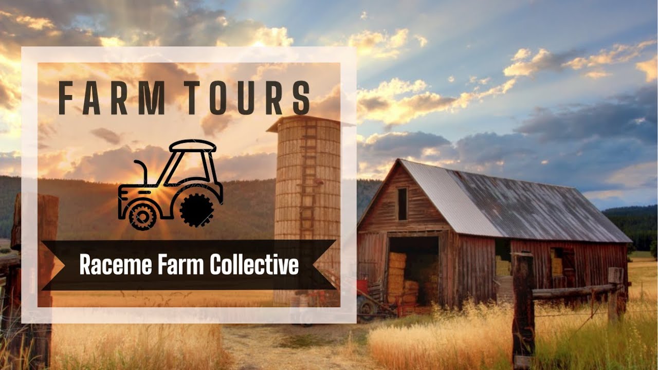 Farm to School Raceme Farm Collective