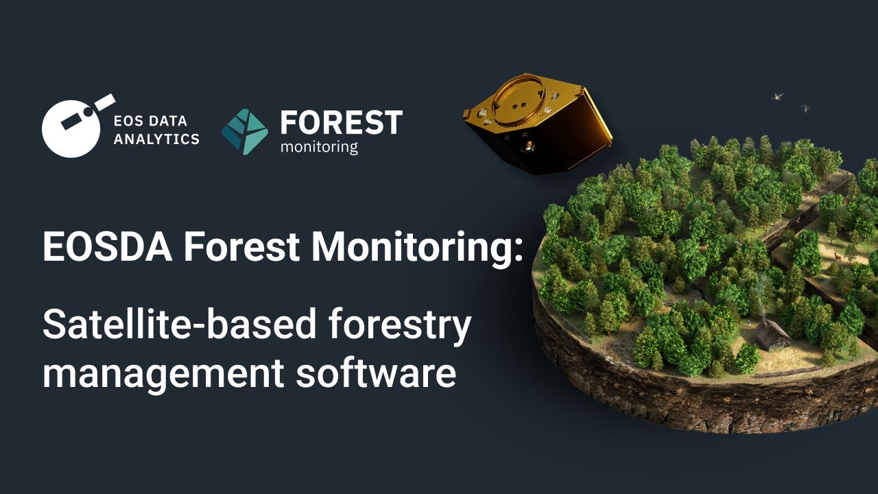 Features Overview - EOSDA Forest Monitoring