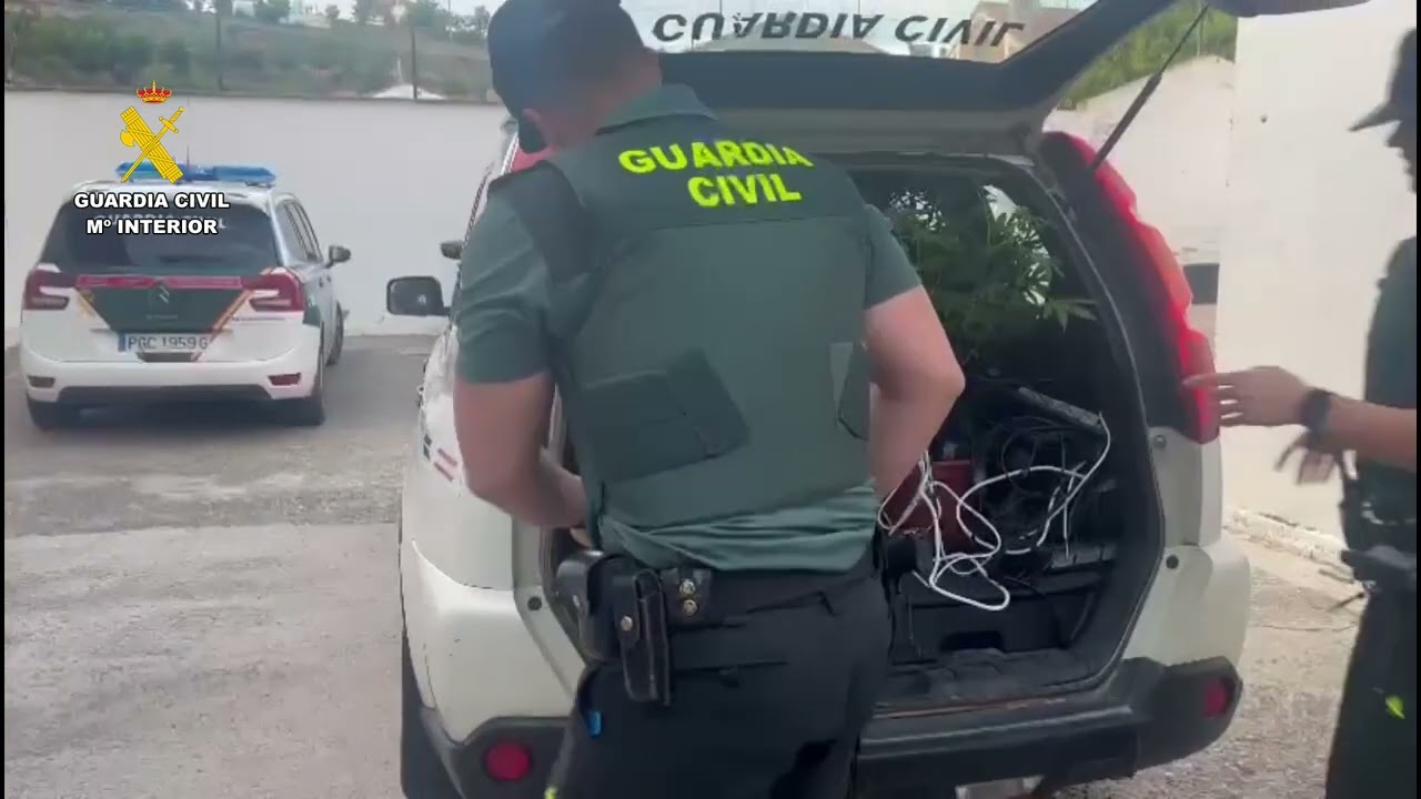 Descubren un cultivo 'indoor' de marihuana en una vivienda de Villamediana tras una denuncia vecinal