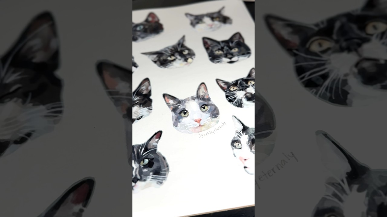Making | Tuxedo cat portrait