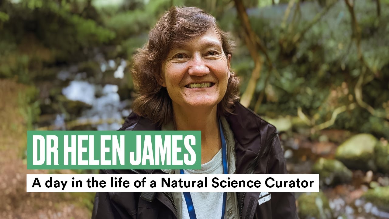 A day in the life of a Natural Science Curator | Ulster Museum