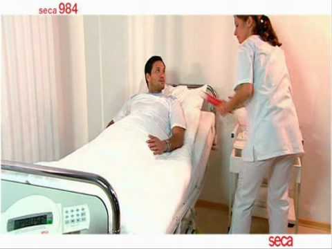 Seca 984 Bed and Dialysis Scale