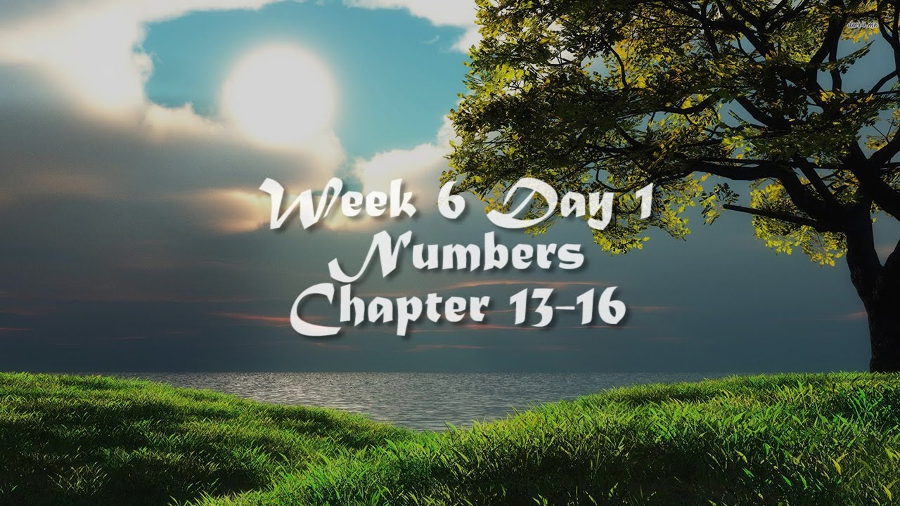 Audio Bible Reading Plan - Week 6 Day 1 (Numbers 13-16)