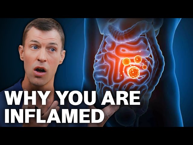 Understanding the Top 9 Root Causes of Chronic Inflammation That Most ...
