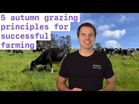 5 Autumn Grazing Principles For Successful Farming