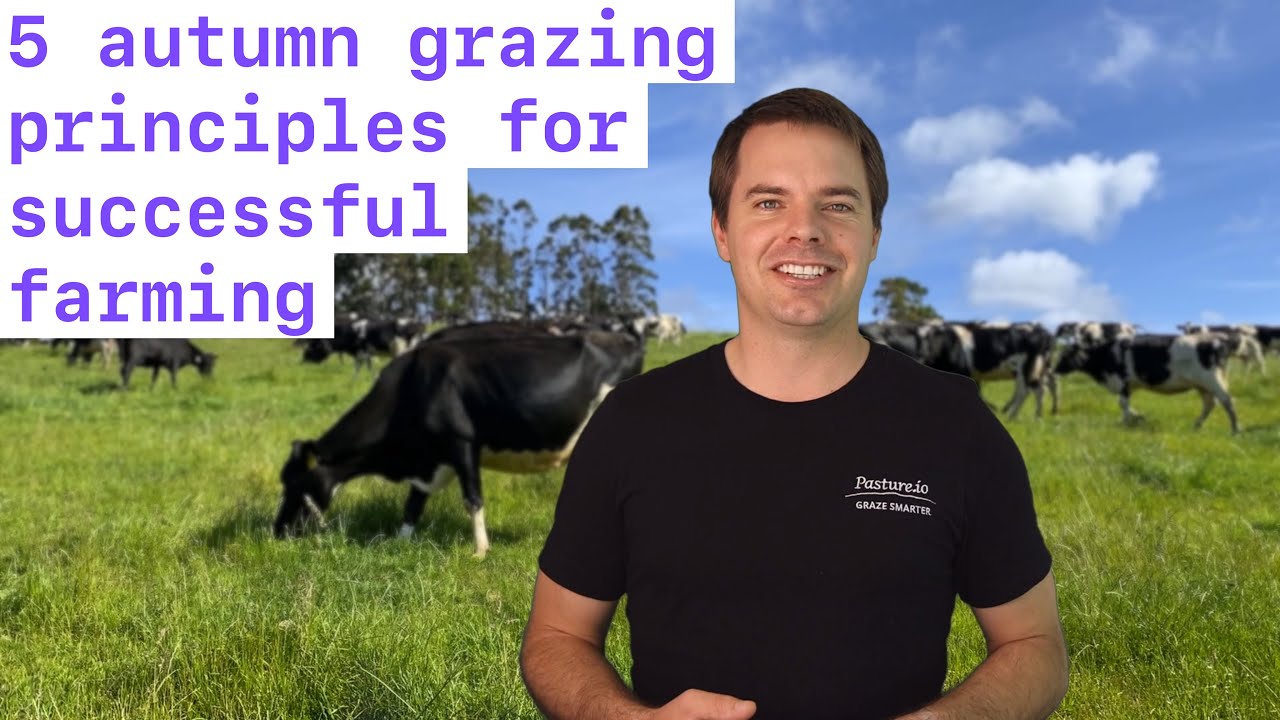 5 Autumn Grazing Principles For Successful Farming