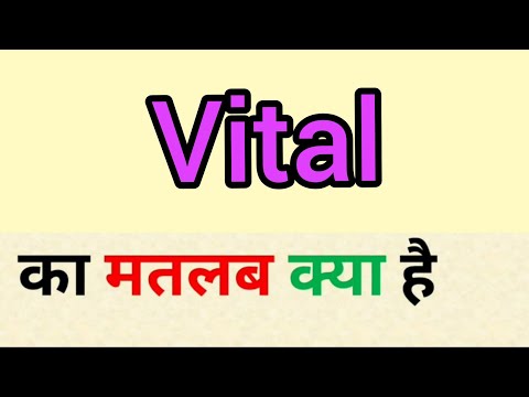 Vital meaning in hindi || vital ka matlab kya hota hai || word meaning english to hindi