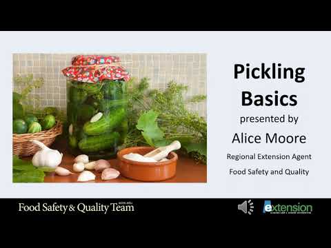 Pickling Basics