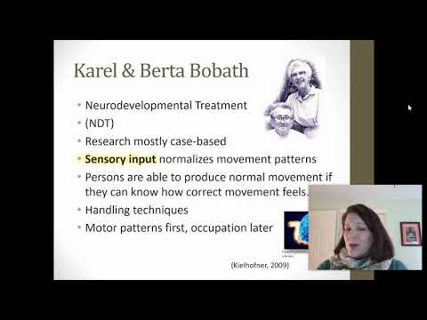 Motor Control & Motor Learning Part 1