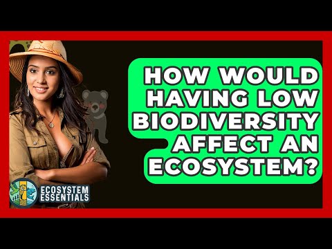 How Would Having Low Biodiversity Affect An Ecosystem? - Ecosystem Essentials