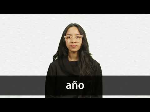 English Translation of “AÑO” | Collins Spanish-English Dictionary