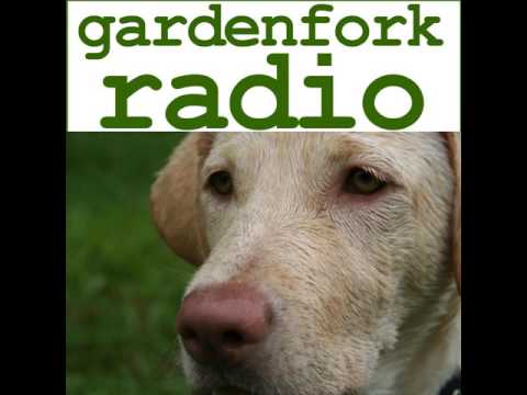 Burning Sponges Archive Show – GF Radio 369B