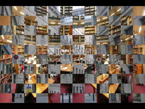 London School of Economics