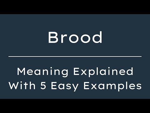 Brood Meaning in English With 5 Example Sentences, Brood Meaning in English