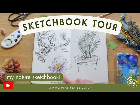 My Nature Sketchbook Flip-Through 🍃 (+ 5 Surprising Things I Learned)