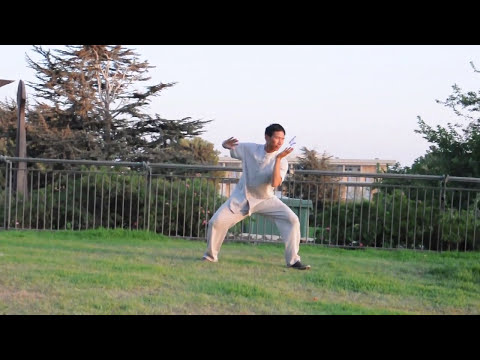 Master Chen Bing - Chen Taiji Quan Basic 13 Postures Form 陈炳老师陈氏太极拳基本十三式