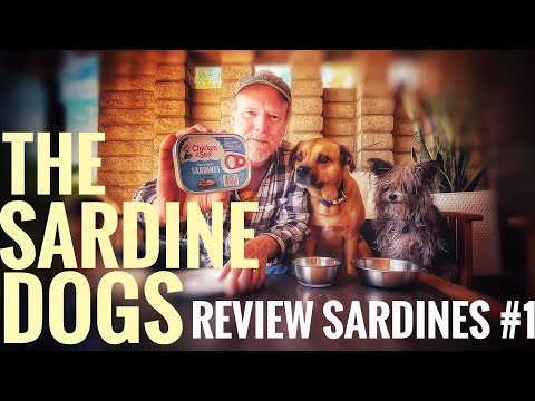 Review: Chicken of the Sea Sardines in Water