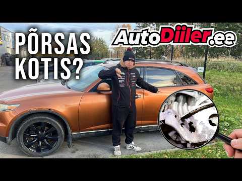 Tõeline Põrsas kotis Infiniti FX35 Osa 2