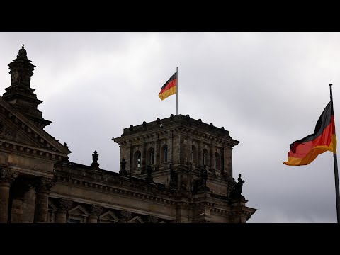 Germany Latest: Elon Musk Reiterates Support for Far-Right AfD