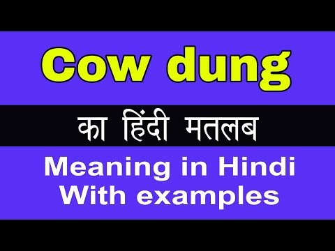 Cow Dung Meaning in Hindi/Cow Dung का अर्थ या मतलब क्या होता है