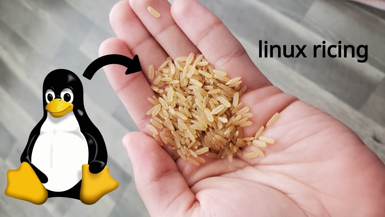 LINUX RICING LIKE A NERD | My Rice setup