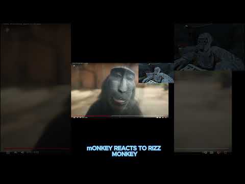 Fluff Monke reacts to rizzler monke #gorillatag #shorts #rizz